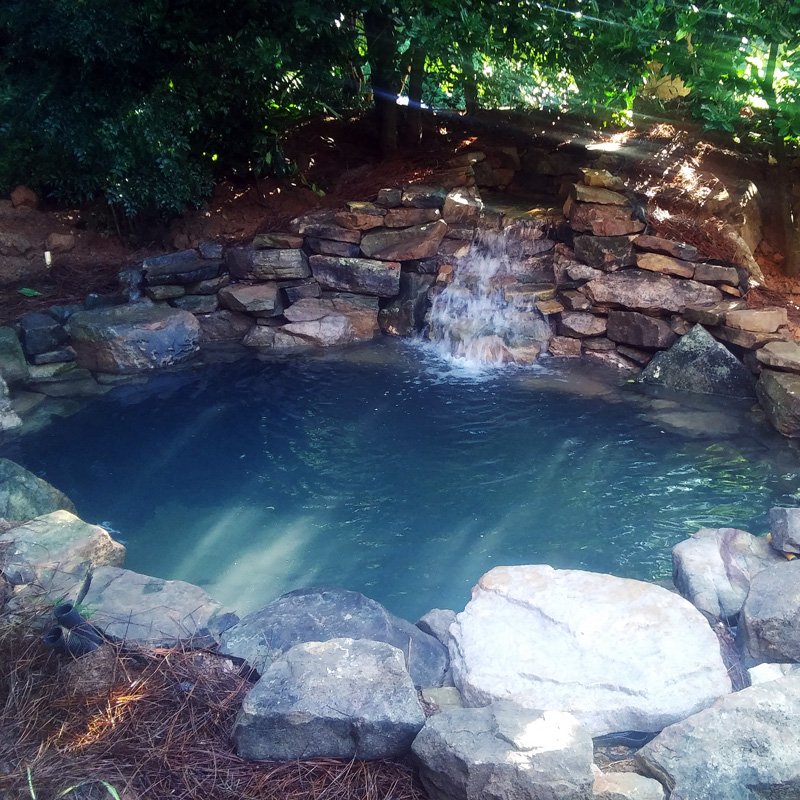 Vicente’s Ponds | Water Gardens, Ponds, Fountains, Waterfalls, Maintenance